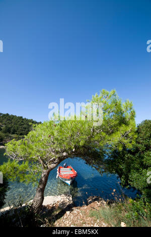 Boat and Tree Stock Photo - Alamy