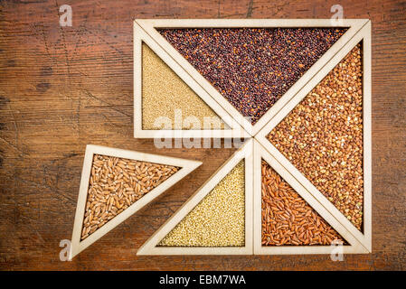 Wheat berries against gluten free alternative grains (quinoa, millet ...