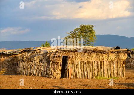 Masai men in traditional dress by their village perimeter fence, Masai ...