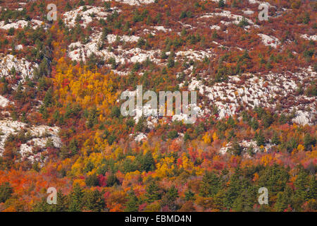 White Quartzite Mountains at peak autumn colour in the South La Cloche ...