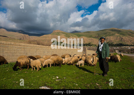 Kurdish shepherd, Ahmed Awa, Iraqi Kurdistan, Iraq Stock Photo - Alamy