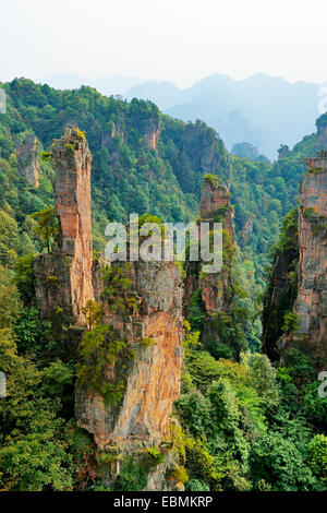 Tianzishan mountain with vertical rock columns of quartz sandstone ...