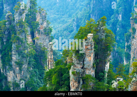 Tianzishan mountain with vertical rock columns of quartz sandstone ...