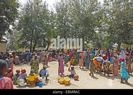 Typical calabash helmets at a market, Tourou, Far North, Cameroon Stock ...