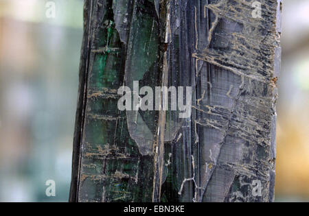 Apatite. minerals. North America; Canada; Quebec; Pontiac County; Otter ...