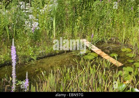 Garden pond with hedgehog's climbing out, rescue possibility in the ...