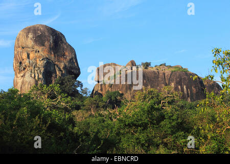 rock formations amidst shrubs, Sri Lanka, Yala National Park Stock ...