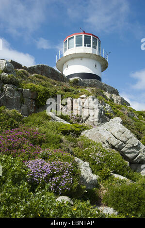Signpost at Cape Point lighthouse South Africa Stock Photo - Alamy