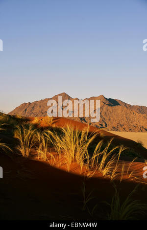 mountain ranges in Namib Desert, Namibia Stock Photo - Alamy