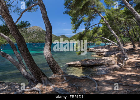 Platja Formentor (Playa de Formentor) near Port de Pollenca, Mallorca ...