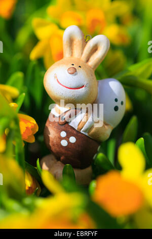 A vertical closeup shot of a yellow Daffodil against the clouds and the ...