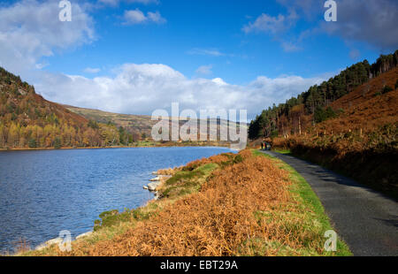 Llyn Geirionydd lake in autumn near Trefriw Snowdonia National Park ...