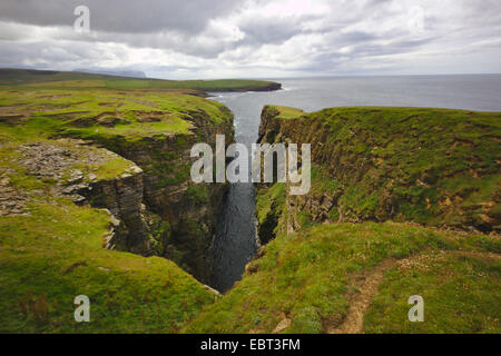 cliff line with ravine like erosion Ramna Geo, United Kingdom, Scotland ...