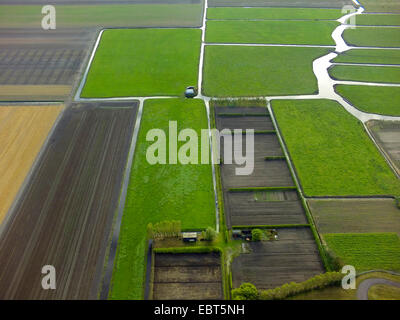 aerial view to typically Dutch field scenery, Netherlands, South ...