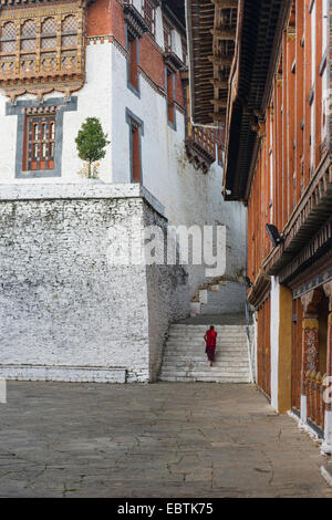 Monk on the stairs Stock Photo - Alamy