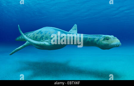 Cryptoclidus (Cryptoclidus), swimming Stock Photo - Alamy