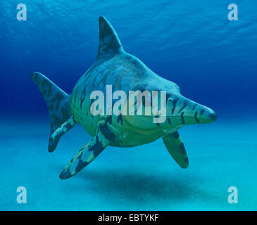 Eye Lizard (Ophthalmosaurus), genus with largest species of Ichthyosaur ...