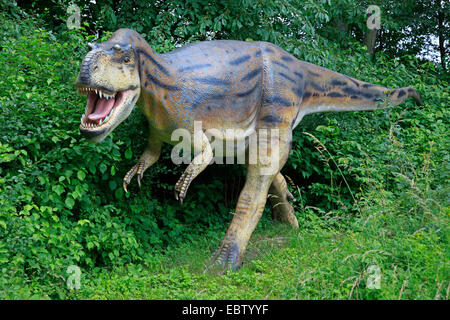 Albertosaurus (Albertosaurus), attacking Stock Photo - Alamy