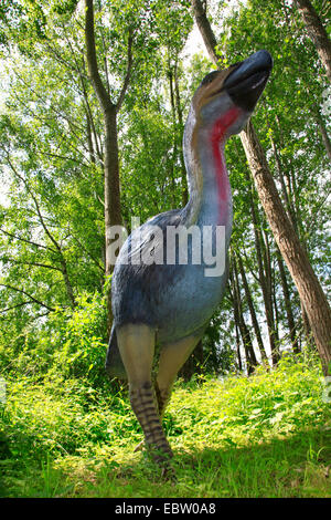 Diatryma (Diatryma, Gastornis), extinct species of large flightless ...