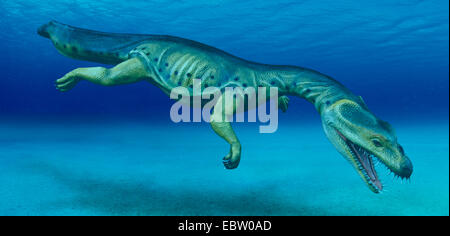 Nothosaur (Nothosaurus), diving Stock Photo - Alamy