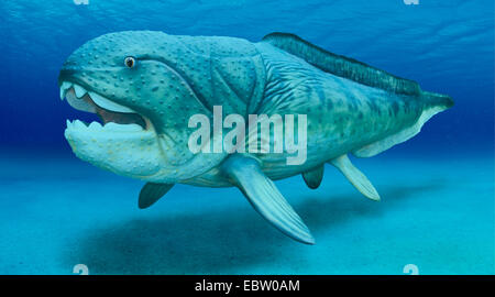 Dunkleosteus (Dunkleosteus, Dinichthys), largest know member of extict ...