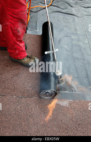 laying on tar paper Stock Photo - Alamy