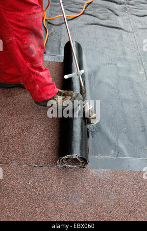 laying on tar paper Stock Photo - Alamy