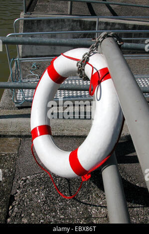 lifebelt lifebelts life belts belt ring lifeguard lifeguards life ...