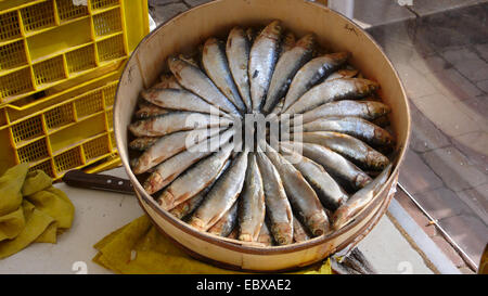 edible fishes in a wooden dish, Spain, Balearen, Majorca, Alcudia Stock ...