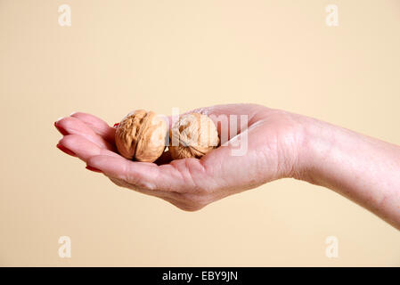 Walnuts in a woman's hand being crushed Stock Photo - Alamy