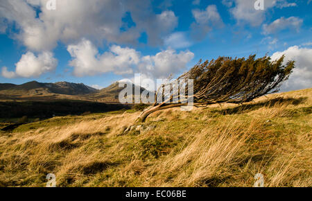 Coniston fells from Torver Common, Lake District, England Stock Photo ...