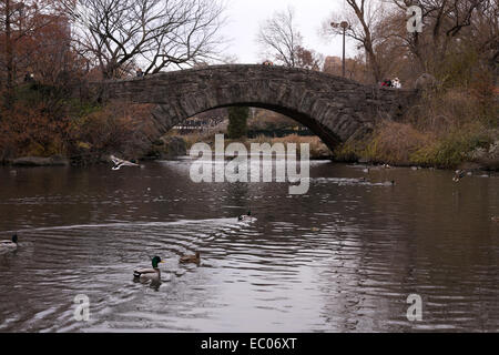 Gapstow Bridge in Central Park in early spring Stock Photo - Alamy
