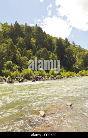 Nalcas National Park, Chile. The Bio Bio river, and in the background ...