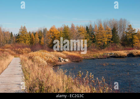 Cree community of Mistissini North Eastern James Bay Quebec Stock Photo ...