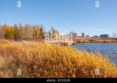 Cree community of Mistissini North Eastern James Bay Quebec Stock Photo ...