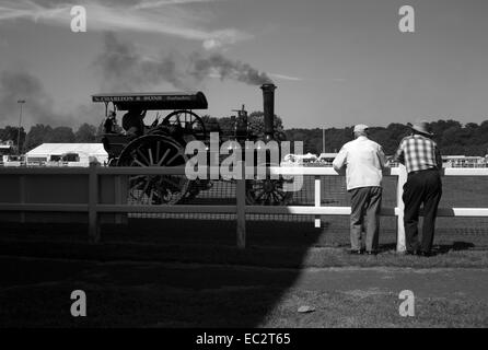 Steam Engine rally at Corbridge Northumberland England Stock Photo ...