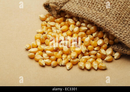 The grain corn in small sack Stock Photo - Alamy