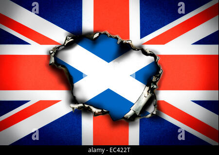 UK Union Jack flag and Scottish Saltire St Andrew's cross flag in a ...