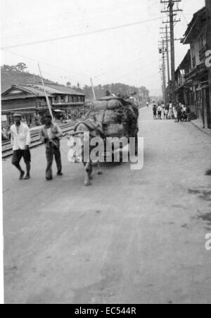 Photograph from the JL Highfill Album, featuring a key aircraft in ...