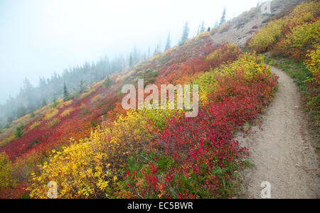 Fall Colors Along the Juniper Ridge Trail, Washington, USA Stock Photo ...
