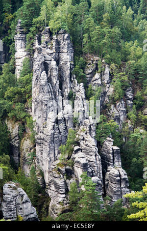 switzerland saxony germany german federal republic nature tree ...