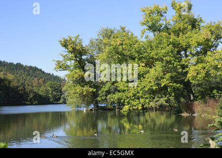 Pond landscape in autumn, Thuringia, Germany Stock Photo - Alamy
