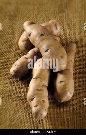 Group of Potato Bamberger Hörnchen Stock Photo - Alamy