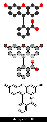 Fluorescein fluorescent molecule Stylized skeletal formula (chemical ...