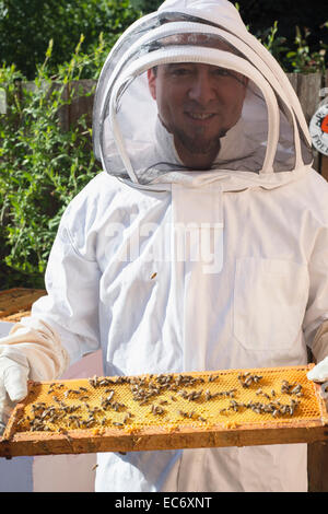 Male beekeeper holding honeycomb tray on city rooftop Stock Photo - Alamy
