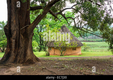 African round hut with thatched roof Burkina Faso Stock Photo - Alamy