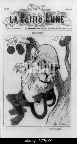 Caricature of Charles Darwin, 1871 Stock Photo - Alamy