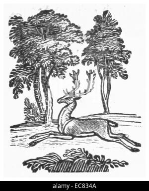 An 1795 illustration of the legendary figure Robin Hood, depicting his ...