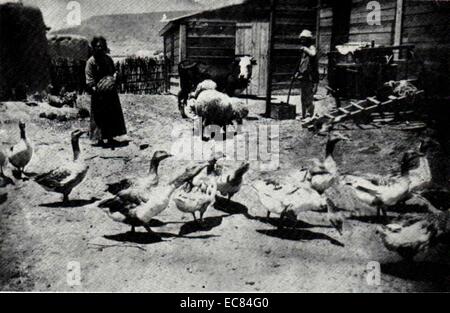 Photograph of Degania Alef; a kibbutz in Northern Israel. Dated 1912 ...