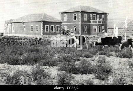Photograph of Degania Alef; a kibbutz in Northern Israel. Dated 1912 ...